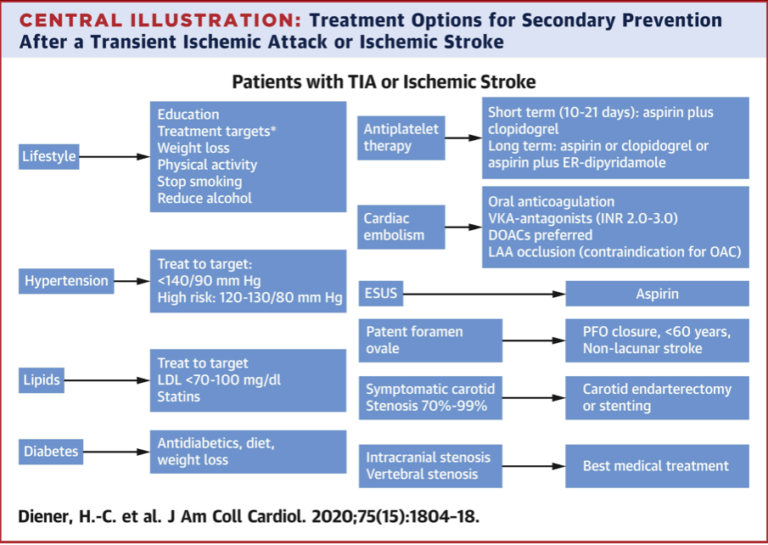 La prevenzione primaria e secondaria dell’ictus cerebrale - Toscana Medica